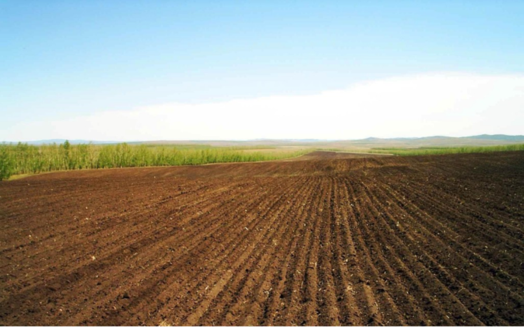 Understanding and Resolving India’s Land Fragmentation Issue: Know it ...